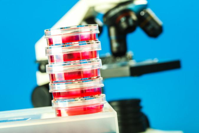 Filiation : comment établir la paternité en 2025?