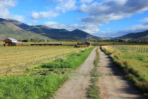 Déclassement de ma route communale en chemin rural, que puis-je faire ...